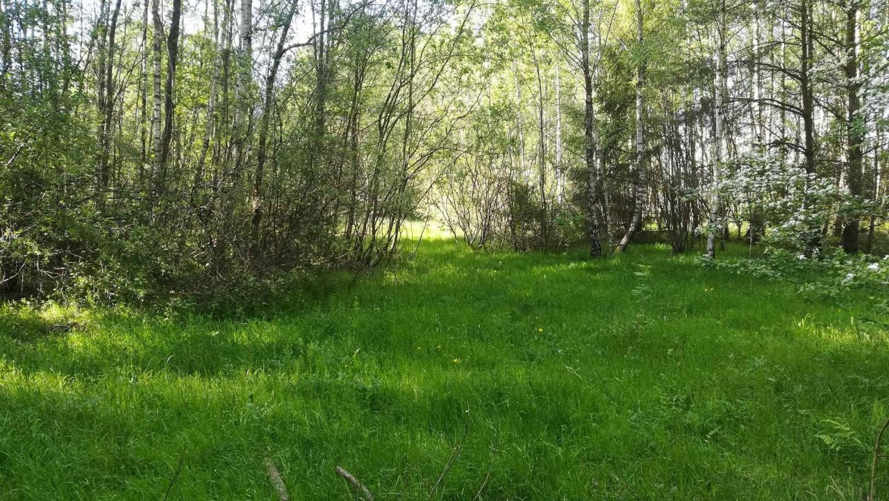 Działka Strzepcz, ul. Głodnica, bez pośrednika - 7905 m²