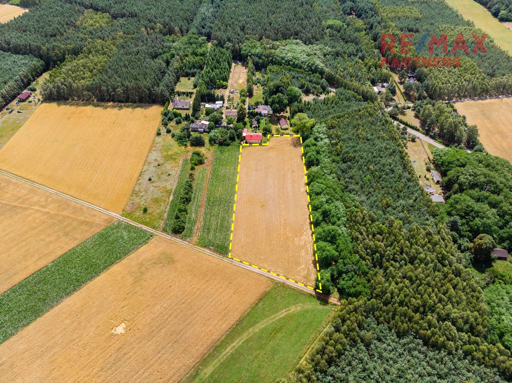 Dzia ka Iwonie 8000 M2 240 000 Z 