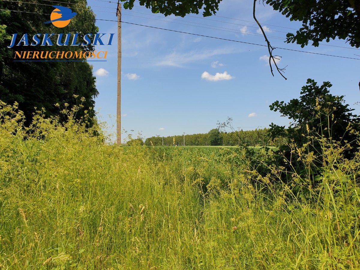 Działka Wola Rowska - 6400 m²