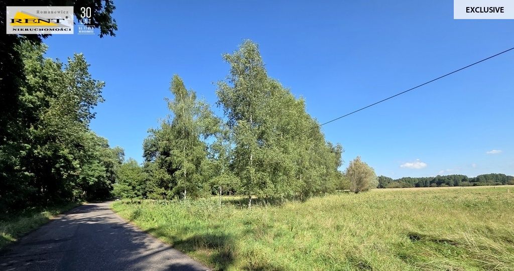 Działka Kopice - 7 638 m²