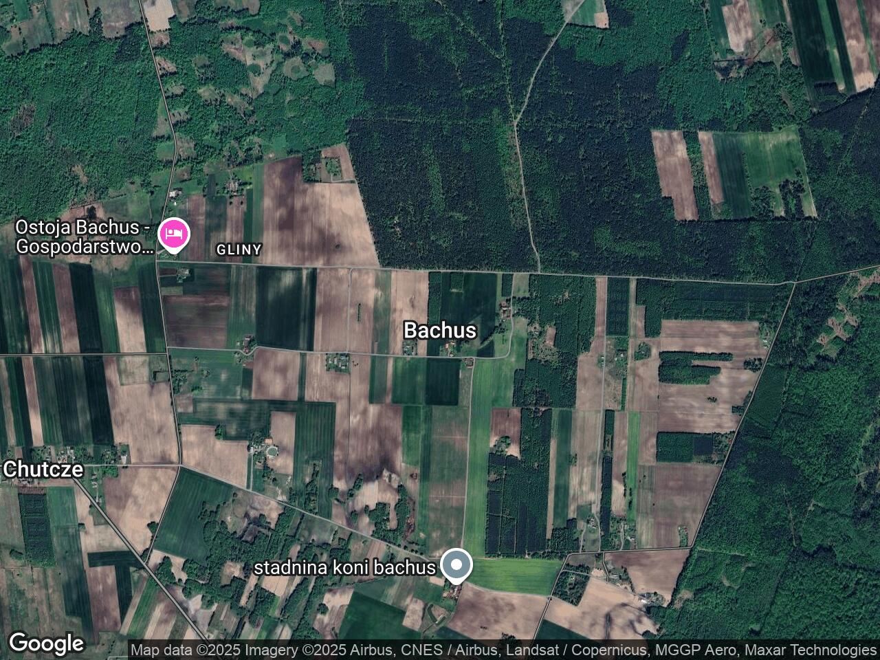 Dom Bachus, bez pośrednika - 98 m²