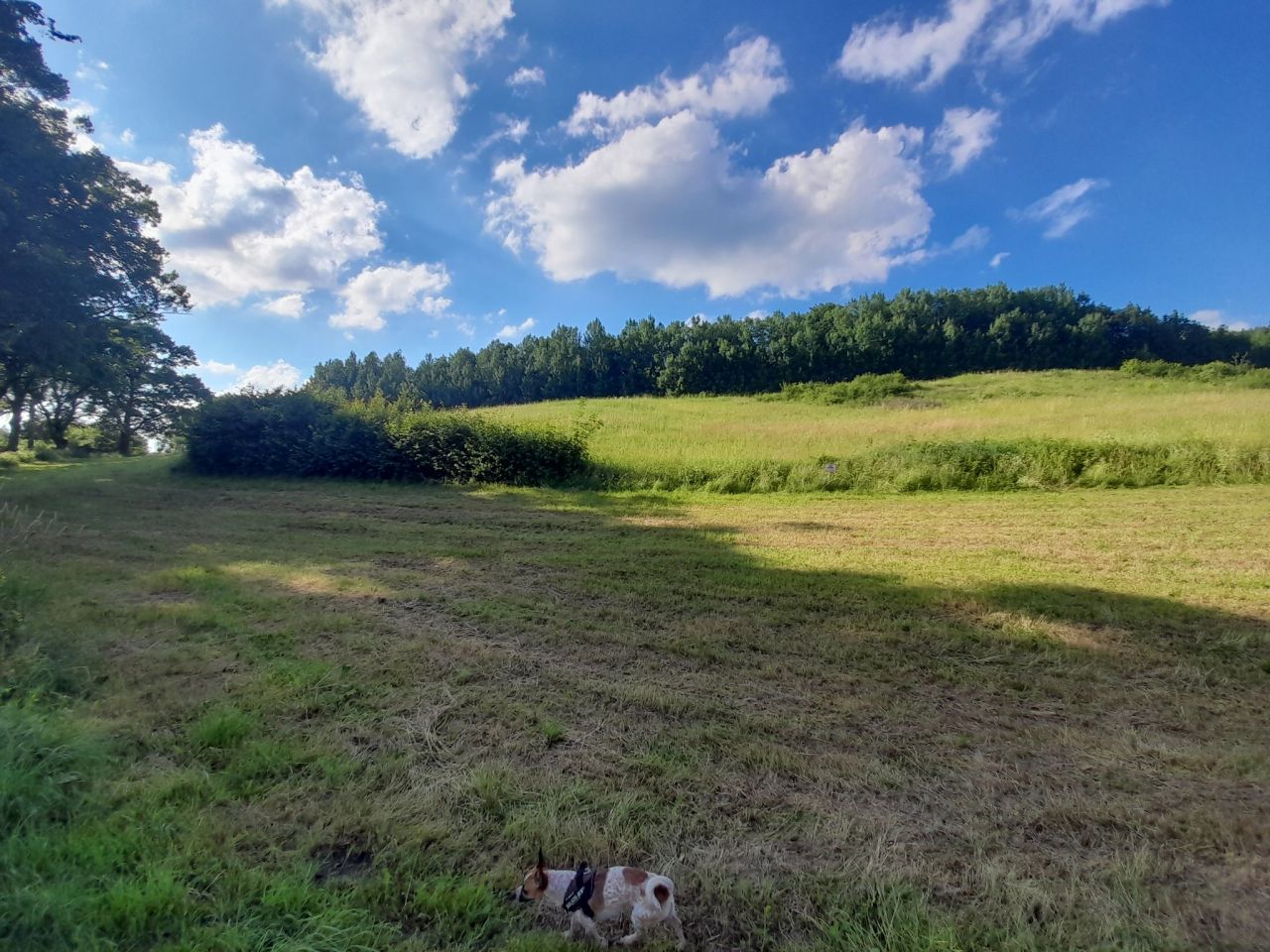 Działka Pupki, bez pośrednika - 3005 m²