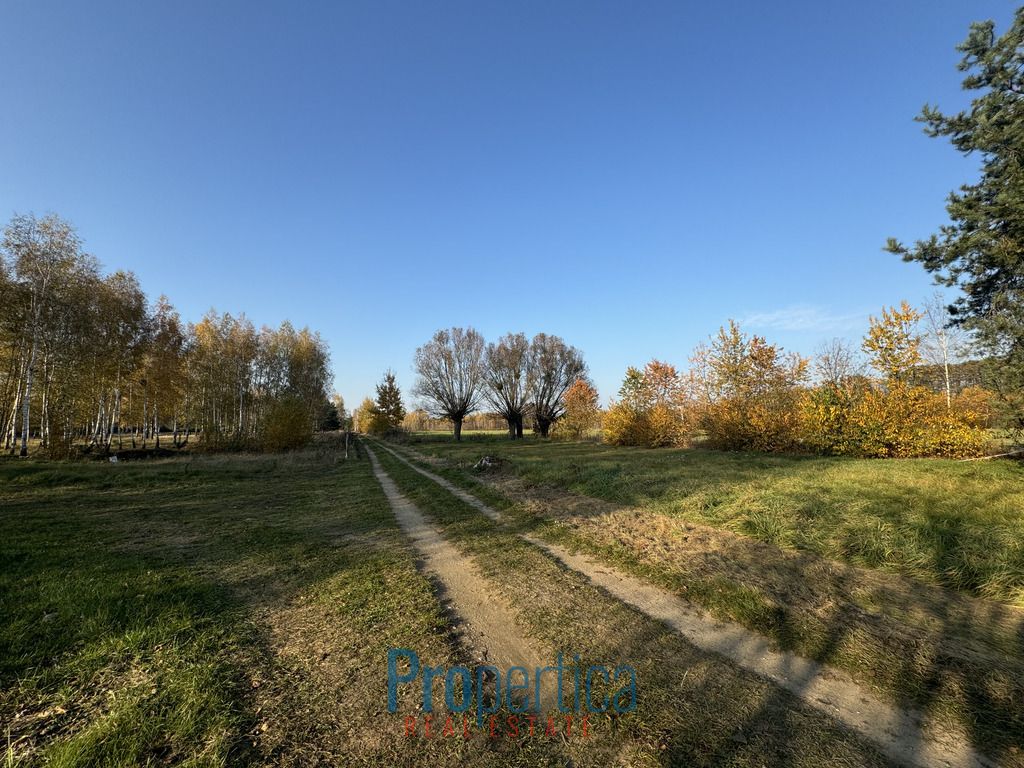 Działka Sowia Wola Folwarczna, ul. Sosnowa - 1572 m²