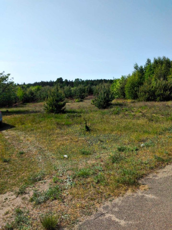 Działka Gucin, bez pośrednika - 3000 m2 - 105 000 zł