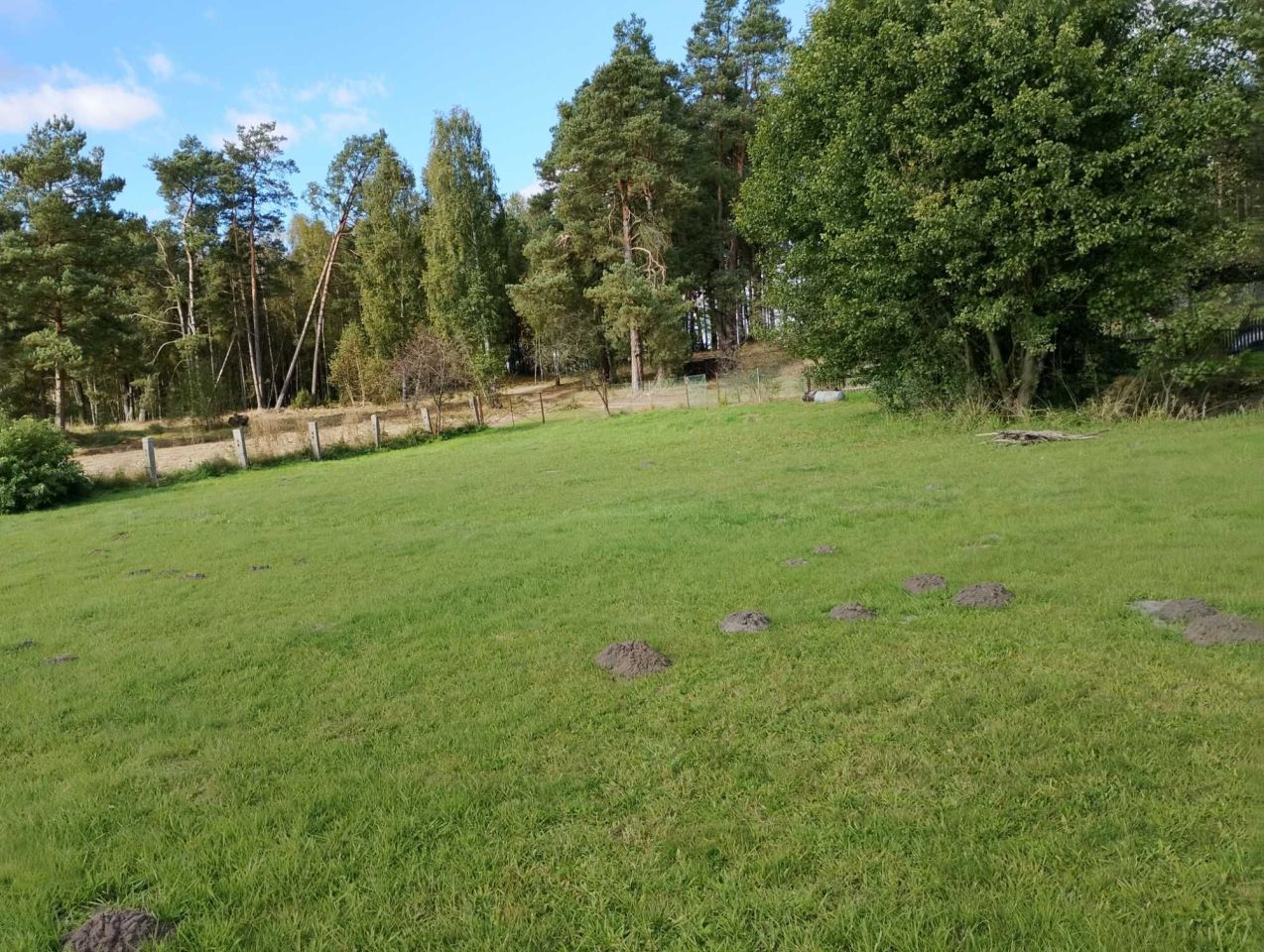 Dom Broda, bez pośrednika - 257 m²