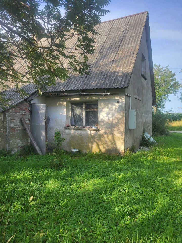 Dom Grabin, bez pośrednika - 60 m²