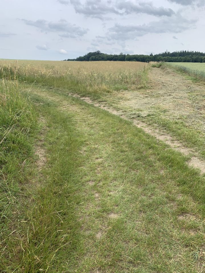 Działka Trzebina, bez pośrednika - 8800 m2 - 60 000 zł