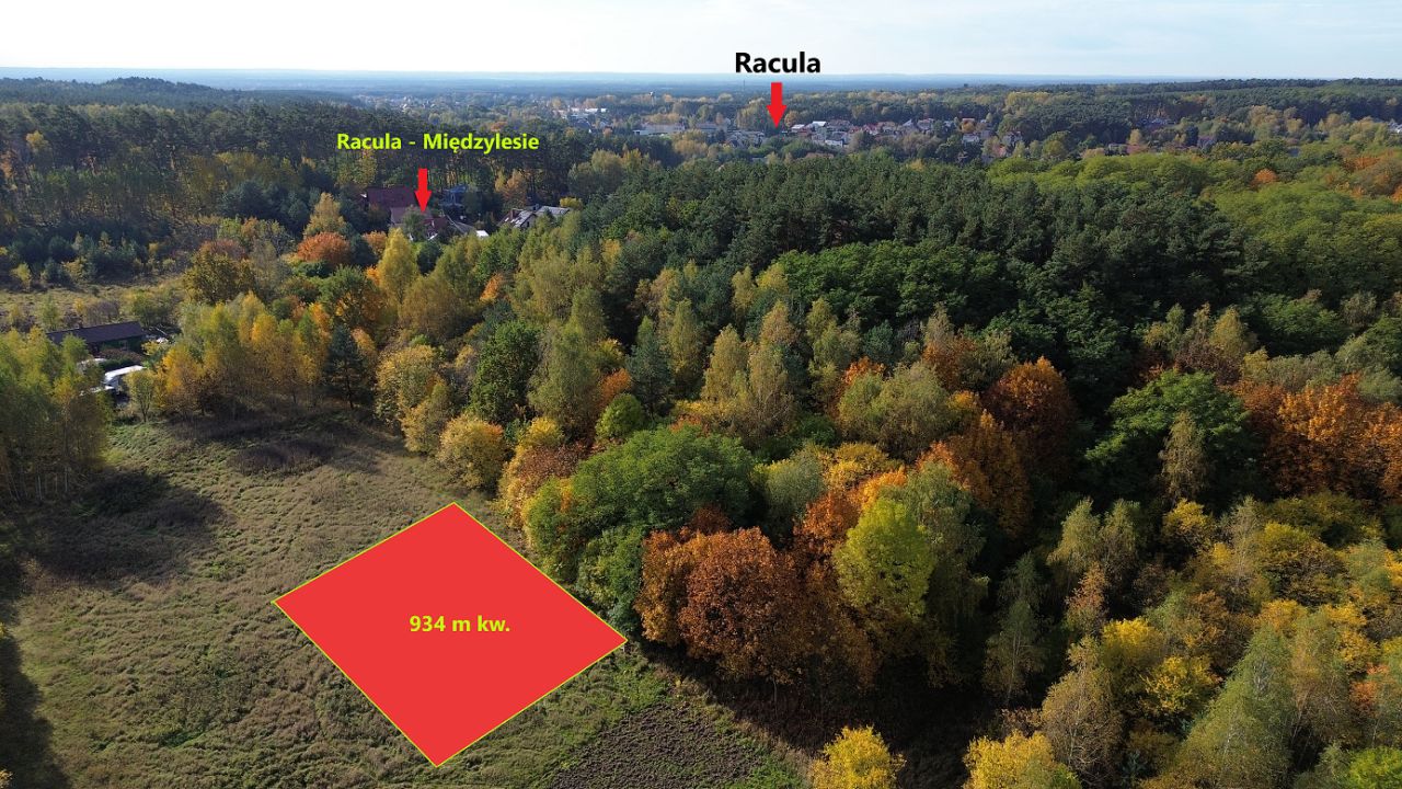 Działka Zielona Góra, ul. Racula-Międzylesie, bez pośrednika - 934 m²