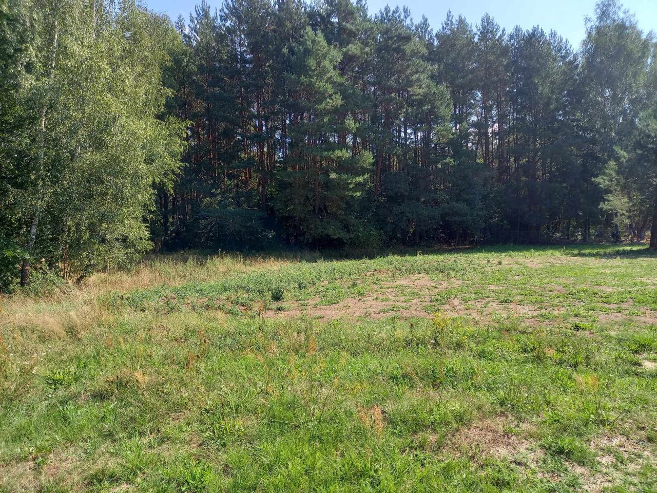 Działka Barchów, bez pośrednika - 1490 m²