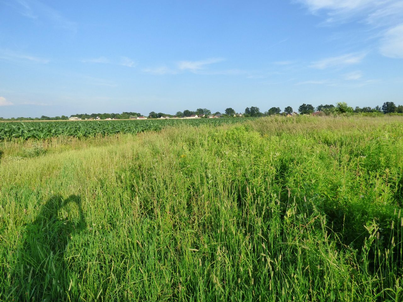 Dzia ka Strzy ew Bez Po rednika 3000 M2 77 000 Z 