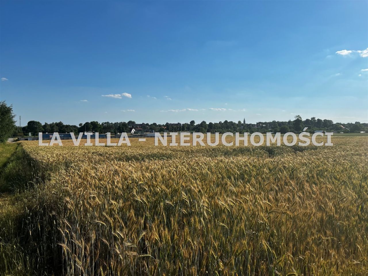 Działka Przyczyna Dolna - 2000 m² - 240 000 zł