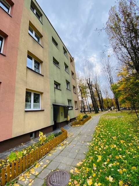 Mieszkanie Katowice, ul. Józefa Gallusa, bez pośrednika - 35 m²